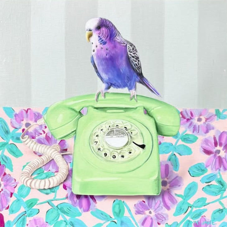 Budgie on Telephone – Aspire Gallery