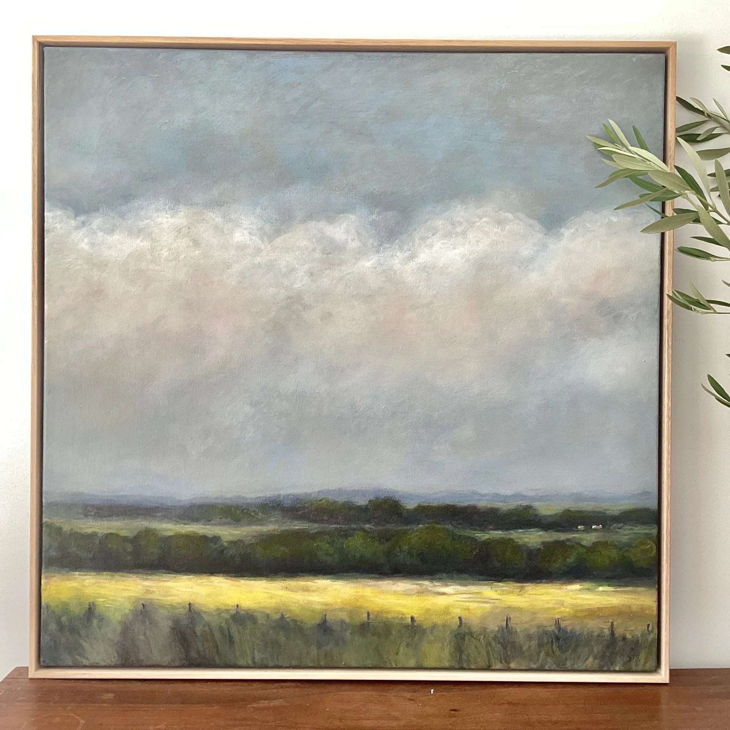 Golden Canola – Aspire Gallery